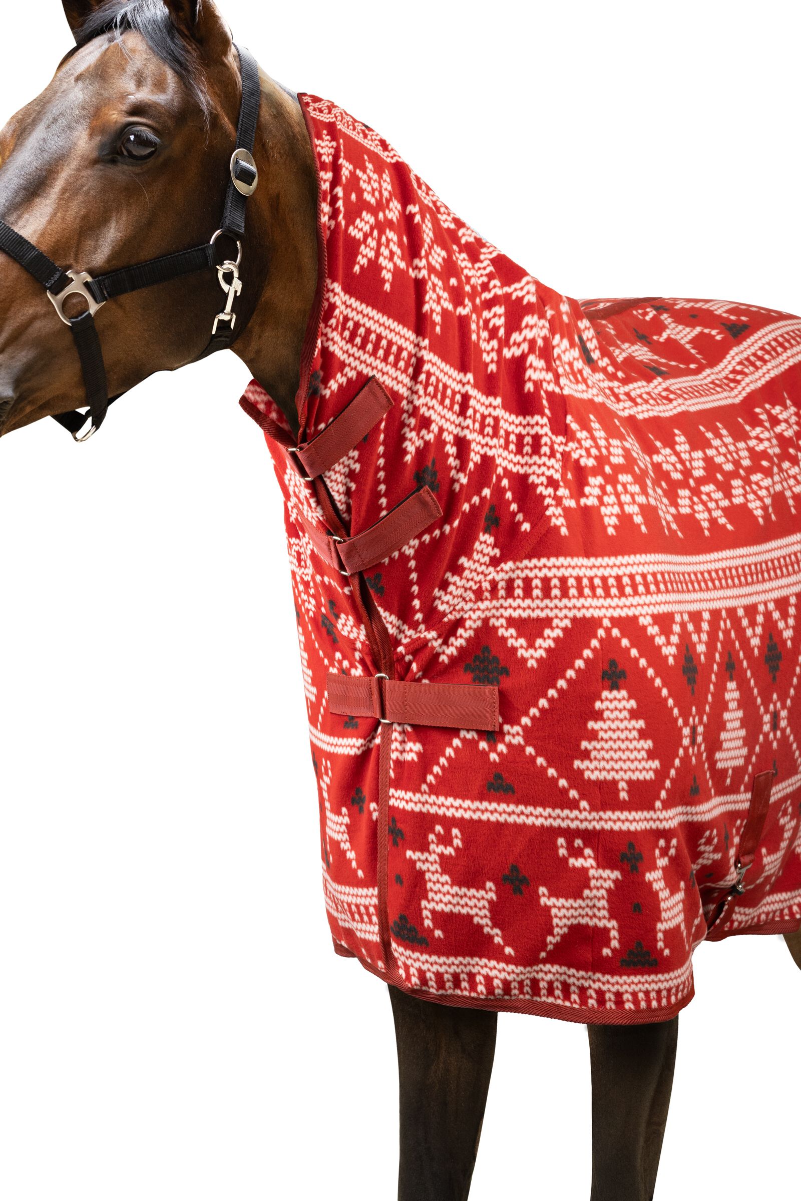Horse sweaters store