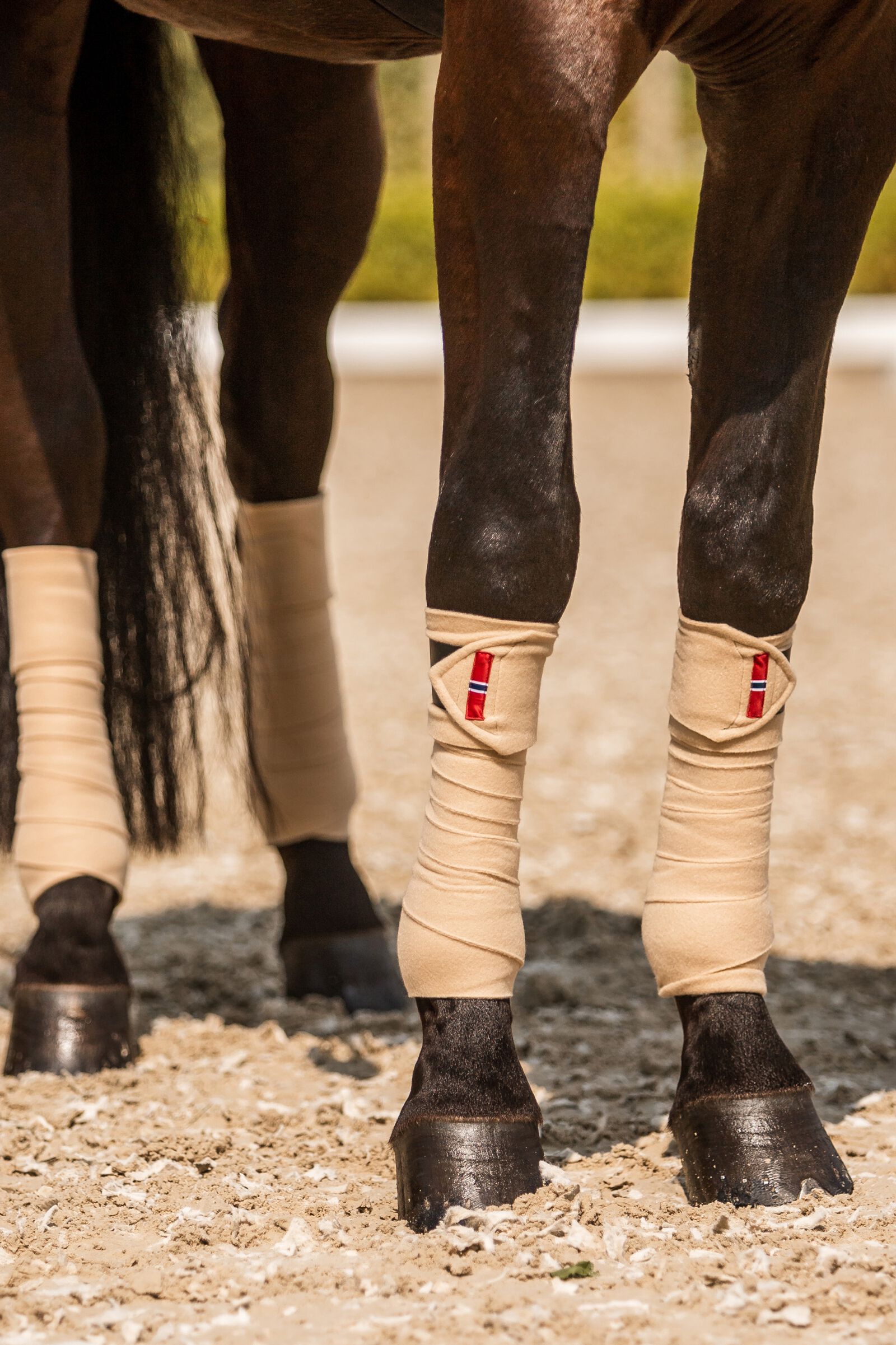 Horse Bandages horze.eu